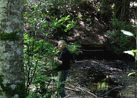 Alvie Thompson photography