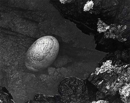 Alvie Thompson photography